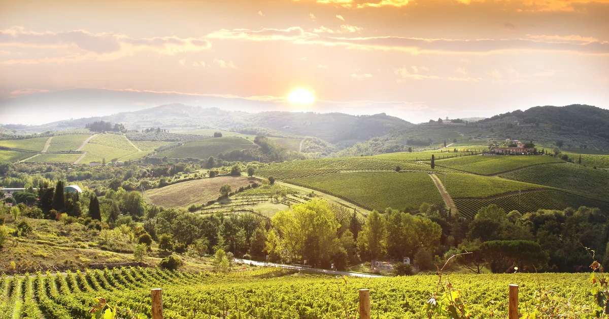 Villas In Tuscany | Luxury Villas to rent in Tuscany | CV Villas